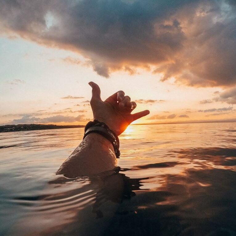 Accueil - DotVision Motion